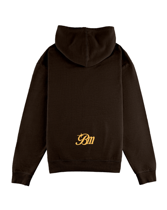 Iconic Bm Dark Brown Hoodie – BMCollective