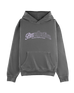 Iconic Bm Grey Hoodie – BMCollective
